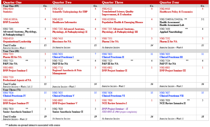 DNP Curriculum - South College